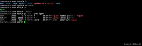 Centos8安装nginx Csdn博客