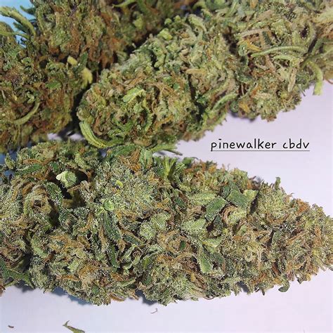 Whole Circle Farms Organic Hemp Certified Organic Hemp Flower