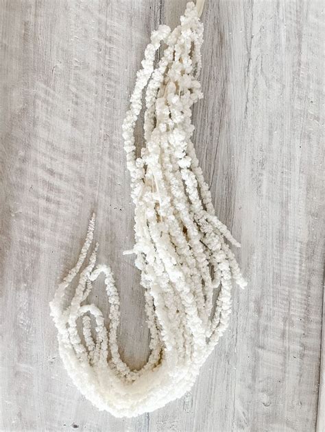 Dried Flowers Hanging Amaranthus Bunch Pure White Neutral Boho Coastal