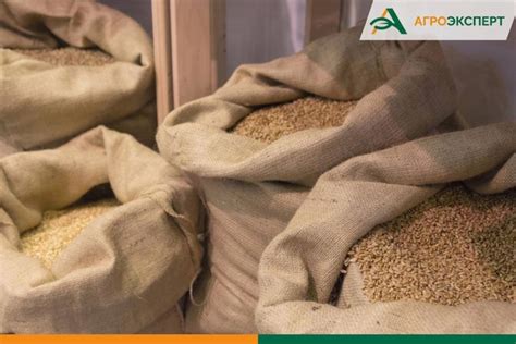 Союз экспортеров зерна прекращает публикацию консенсус прогнозов по урожаю и экспорту зерновых В