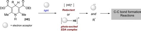 Catalyst‐free Hantzsch Ester‐mediated Organic Transformations Driven By