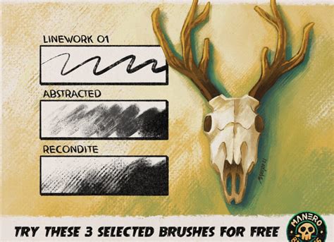 Wild Textures Procreate Brushes Graphicsbunker