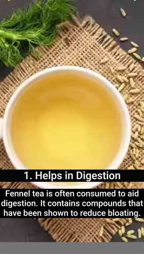 5 Health Benefits Of Drinking Fennel Tea Useful Tips City