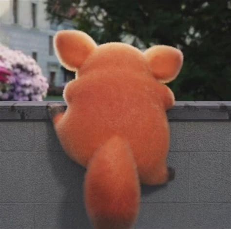 Renjun Animal Version Đang Yêu Dễ Thương Động Vật