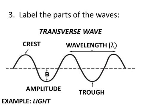Diagram Ocean Wave Blank Diagram Mydiagram Online
