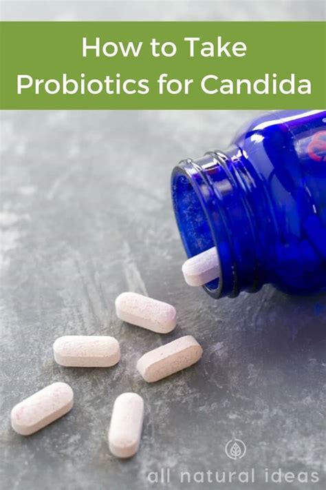 Probiotics For Candida How Many And How Long All Natural Ideas