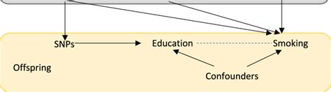 Dynastic Effects Can Induce Snp Phenotype Associations That Are Not Due