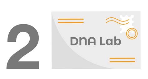 Dna Sibling Test Dna Tests Direct