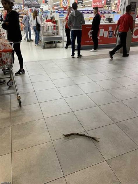 The Heroic Supermarket Shelf Stackers Facing Customer Chaos Panic