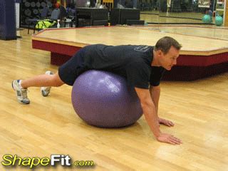 Exercise Ball Exercises Guides With Photos And Instructions