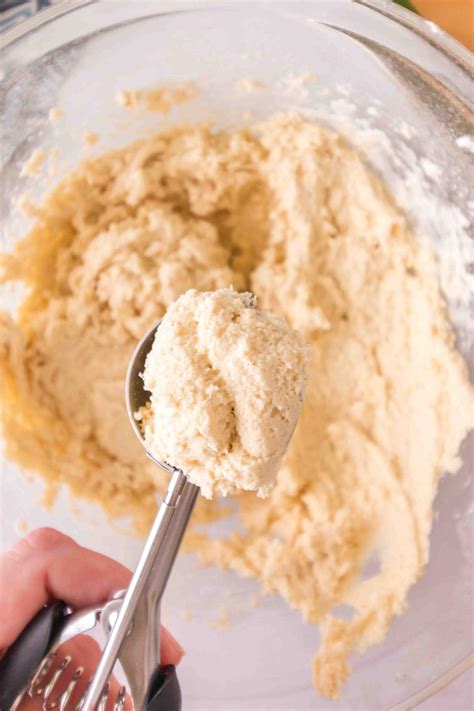 Vanilla Cookies Xoxobella