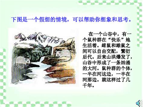 隔离与物种的形成下载 生物 21世纪教育网