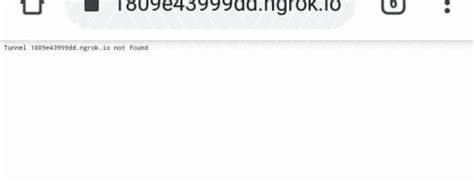 Tunnel Not Found · Issue 87 · Htr Technexphisher · Github