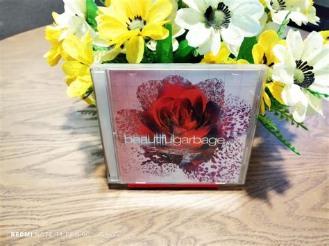 Ss Cd Garbage Beautiful Garbage Hobbies And Toys Music And Media Cds