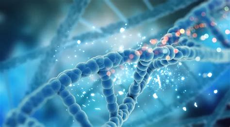 6 Perbedaan Dna Dan Rna Yang Perlu Kamu Ketahui Narasi Tv