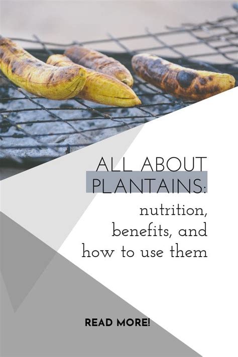 Your Guide To Plantains Nutrition Benefits And How To Cook Them