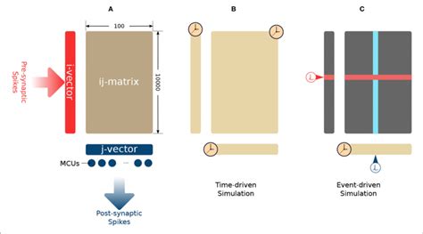 A Synaptic Connections In An Hcu B Time Driven Simulation