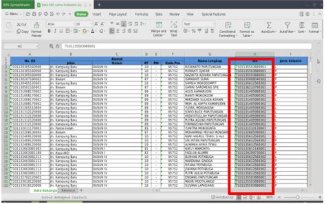 Cara Membuat Entrian Data Nik Ktp Pada Excel Dehaliya Vrogue Co