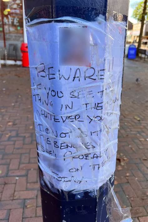 Handmade Posters Accusing Woman Of Weeing On Benches Appear In A