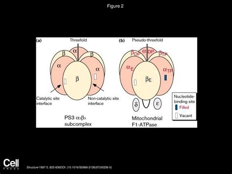 Volume 5 Issue 6 Pages June 1997 Ppt Download