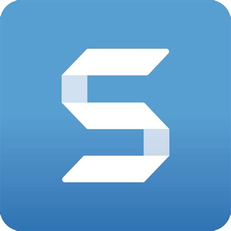 Snagit Acp E Learning Lms Web Development