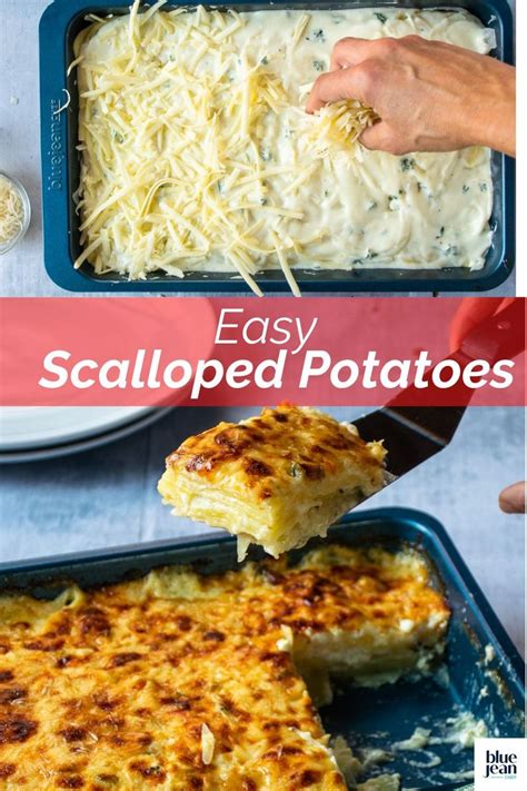 Scalloped Potatoes Blue Jean Chef Meredith Laurence Recipe In
