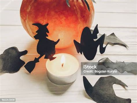 Halloween Konsep Halloween Bahagia Labu Dengan Kelelawar Hantu Penyihir Dan Dekorasi Hitam