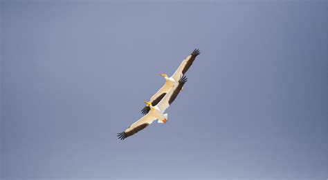 What Is The Calling Code For The United States Making Your Phone Call Wise