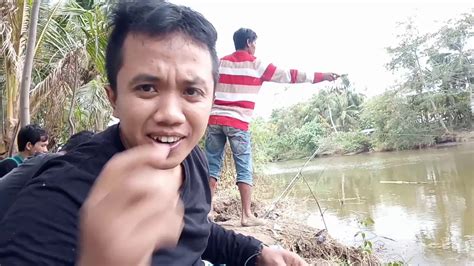 Lunga Mancing Pesta Strikee Bertubi Tubi YouTube