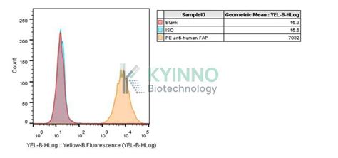 Pc3 Human Fap High Cell Line Kyinno Bio