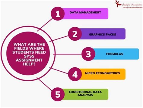 Spss Assignment Help In India By Top Experts 50 Off