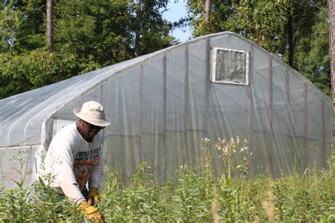 Ecological Pest Management Sare