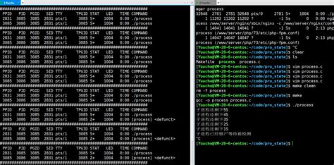 Linux进程实操ps Axj Csdn博客