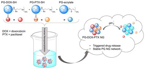 Preparation Of Multidrug Pg Ngs By An Inverse Nanoprecipitation Method Download Scientific