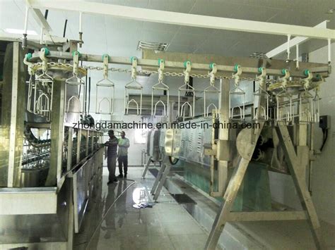 2000 3000 Chicken Per Hour Slaughter Equipment Line Installed In UAE
