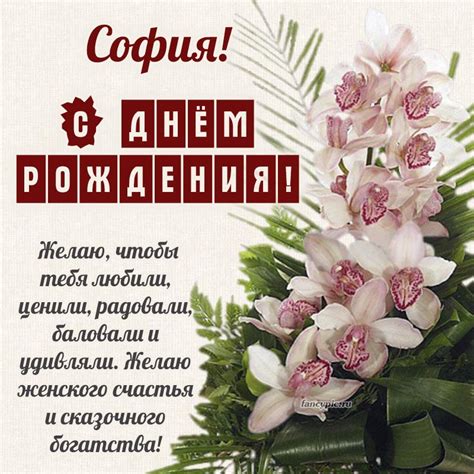 Приятная открытка с орхидеями на день рождения Софии