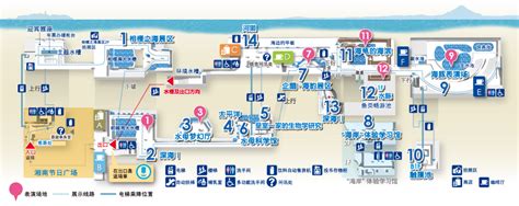 Enoshima Aquarium