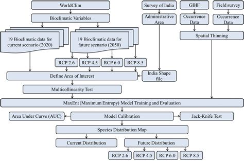 Flow Chart Of Methodology For Evaluate The Species Probable Distribution Download Scientific