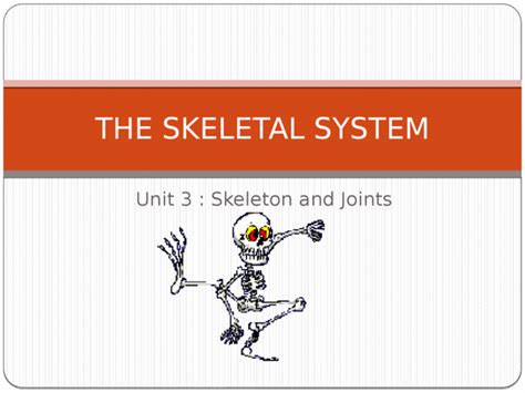 Pptx Unit 3 Skeleton And Joints The Skeletal System Dokumentips
