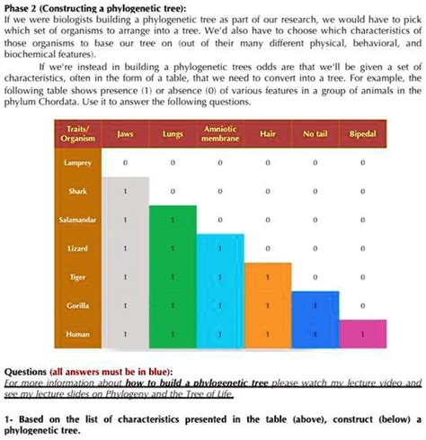 Solved Phase Constructing Phylogenetic Tree If We Were Biologists Building A Phylogenetic