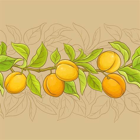 Premium Vector Apricot Vector Pattern