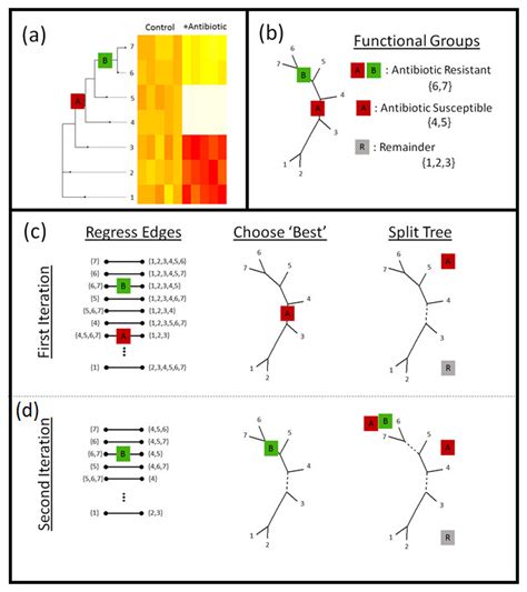 phylogenetic factorization of compositional data yields lineage level