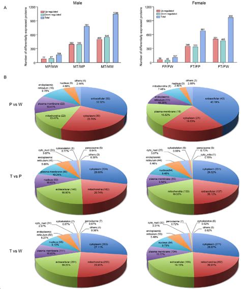 Identification Of The Deps By Lc Ms Ms And Subcellular Location