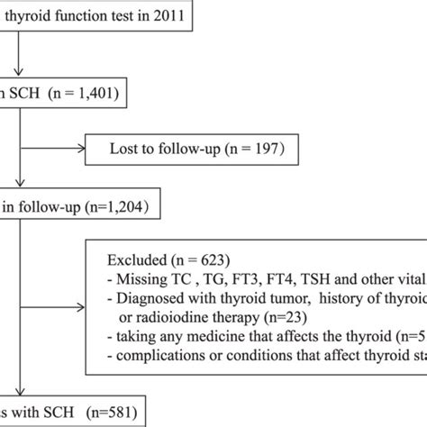 Participant Flow Diagram Abbreviations Sch Subclinical Download