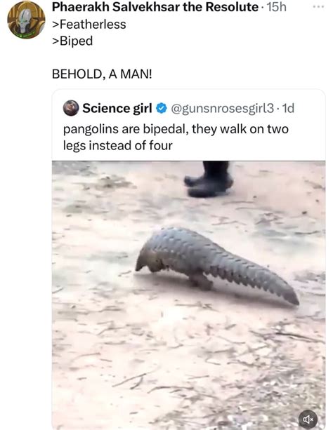 Featherless Phaerakh Salvekhsar The Resolute Biped Behold A Man Science Girl