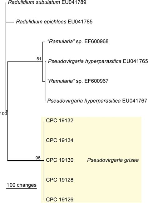 The First Of Two Equally Most Parsimonious Trees Obtained From A