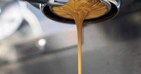 Fluttering Dart The Flow All About The Control Flow Statements By Constantin Stan Level Up