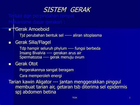 Ppt Sistem Gerak Powerpoint Presentation Id3381167