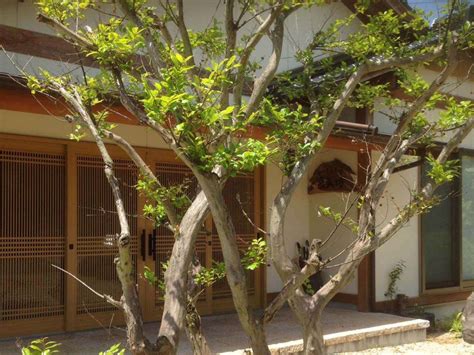 每日限2組的泉弘坊溫泉小旅館就在石見銀山出雲大社一帶 KKday