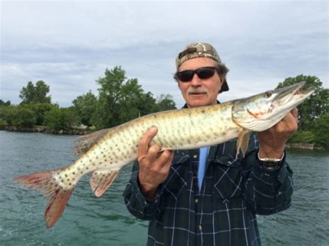 Summer Fishing On The Great Lakes Great Lakes Scuttlebutt